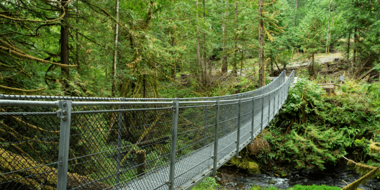 From Way Up High: Suspension Bridges on Vancouver Island - Tourism ...