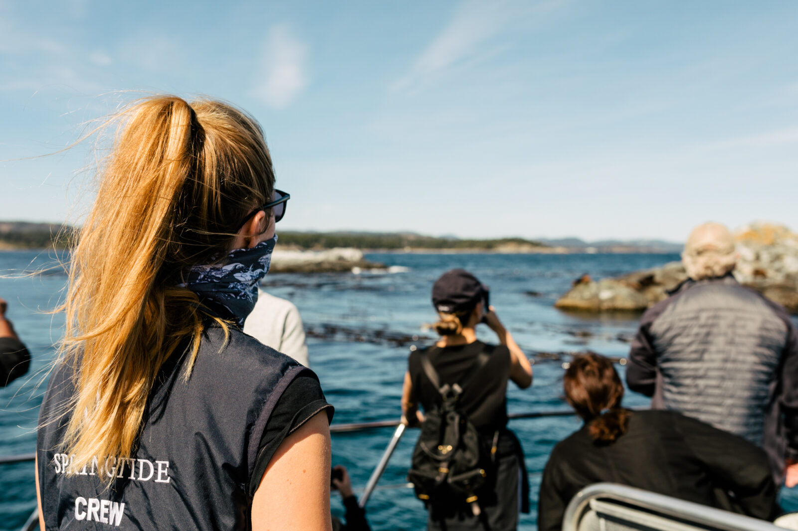 Storm Riders: SpringTide Whale Watching & Eco Tours - Tourism Vancouver ...