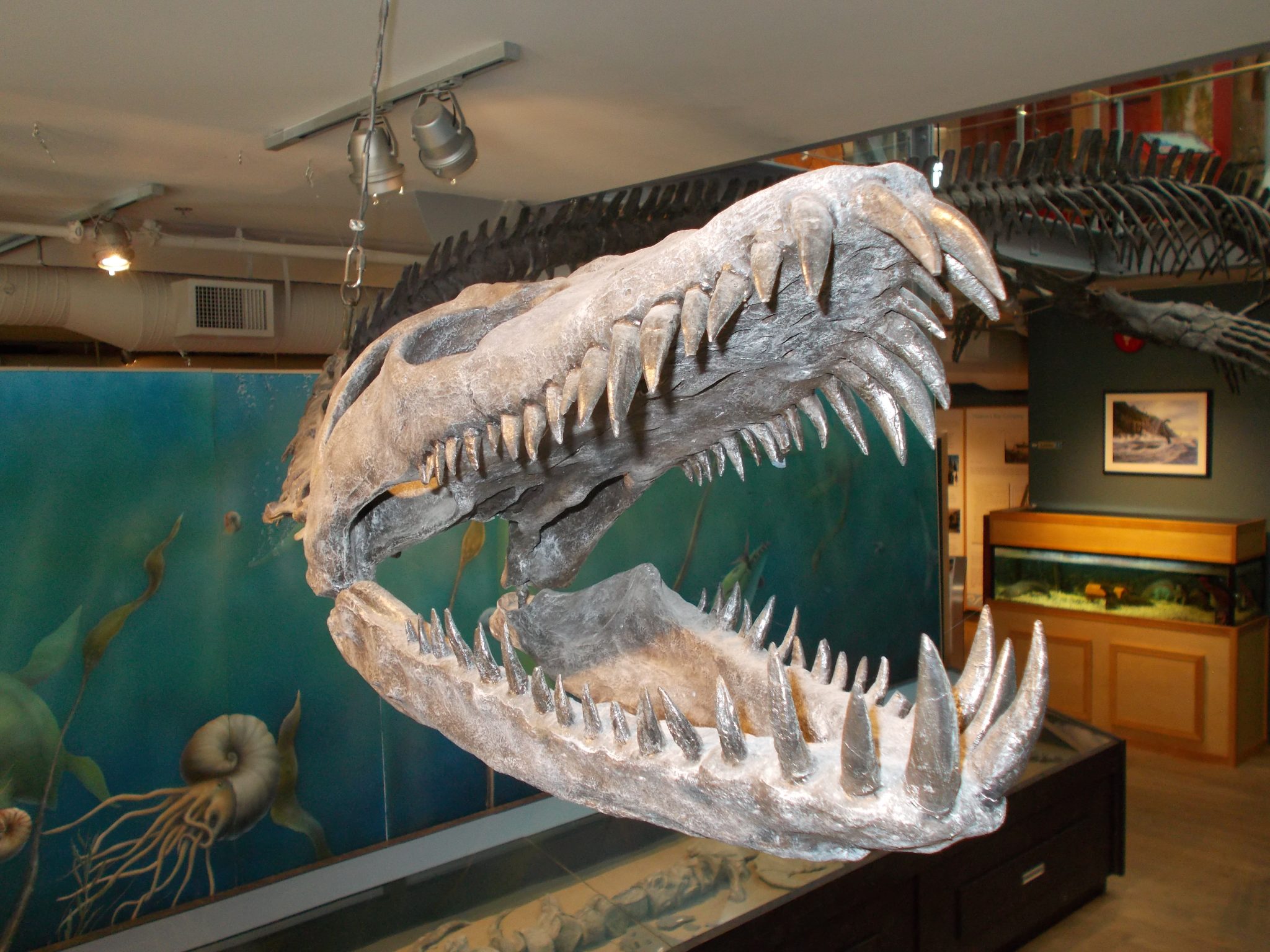 Courtenay & District Museum & Palaeontology Centre - Tourism Vancouver ...