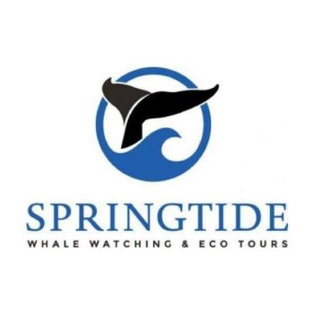 SpringTide Whale Watching & Charters - Tourism Vancouver Island