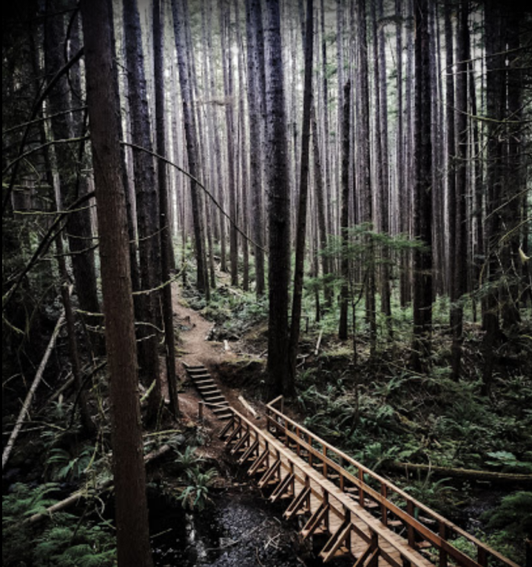 Port Alice - Tourism Vancouver Island