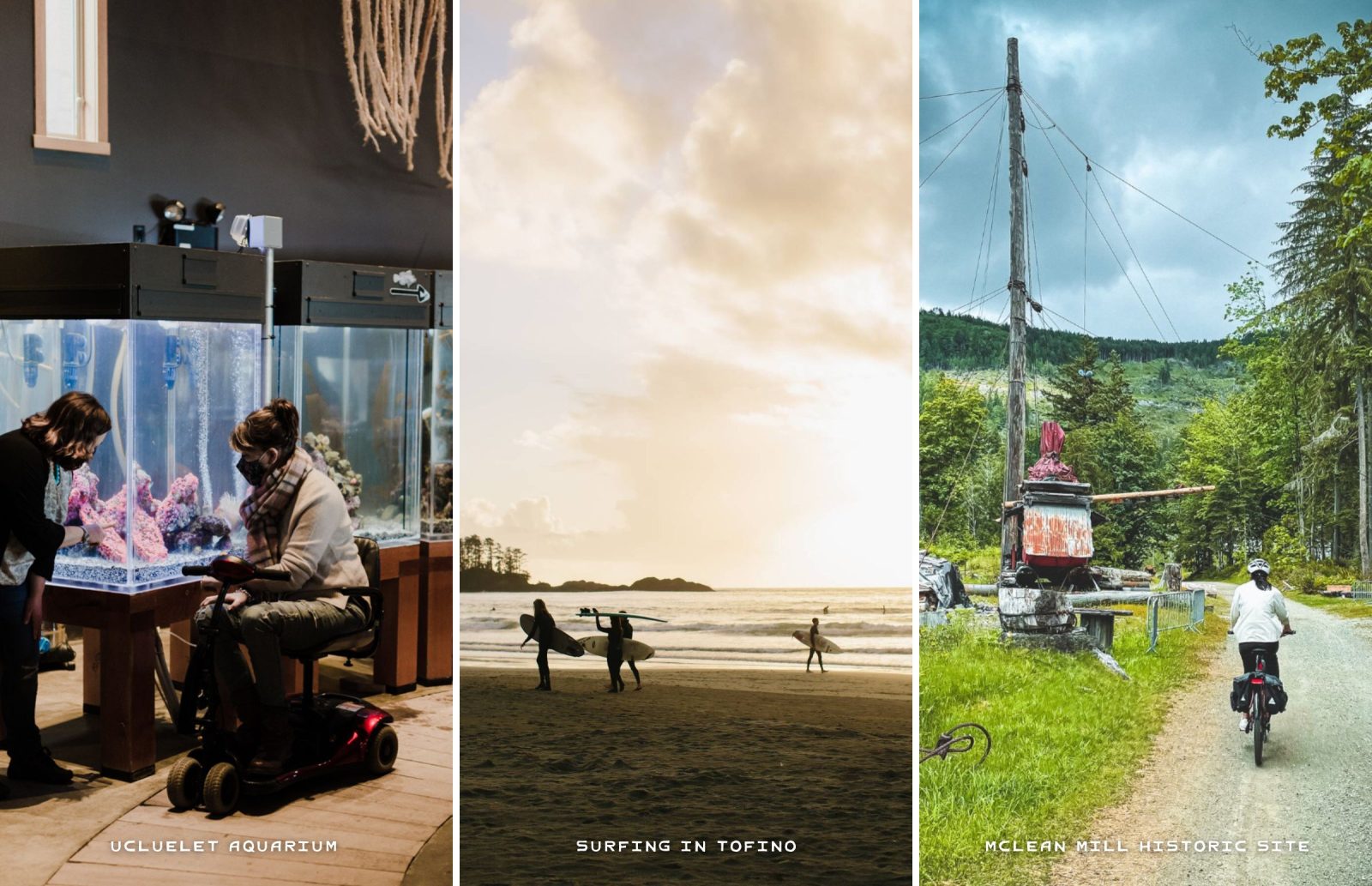 Spring Awakening: Things to do on Vancouver Island this Spring ...