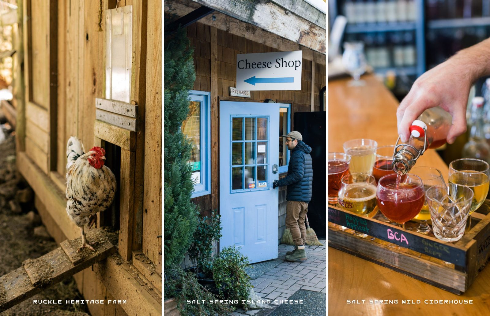 Spring Awakening: Things to do on Vancouver Island this Spring ...